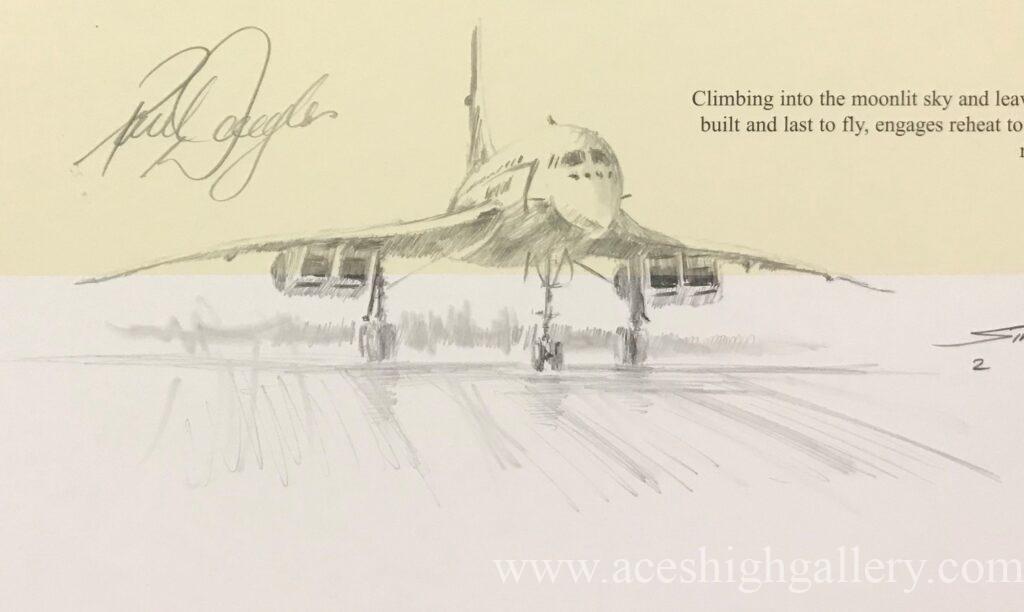 SPEEDBIRD | Aces High Gallery