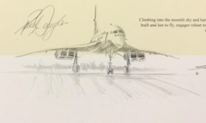 SPEEDBIRD | Aces High Gallery