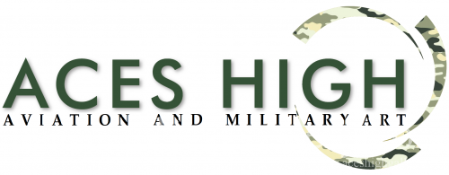 Category: REMARQUES | Aces High Gallery