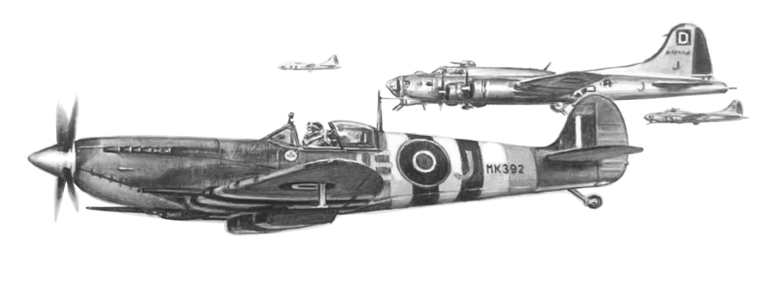 Allies in Arms by John D. Shaw