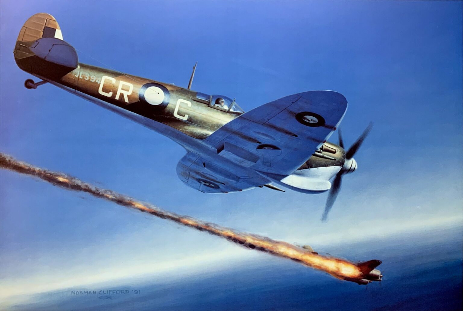 IN DEFENCE OF DARWIN | Aces High Gallery