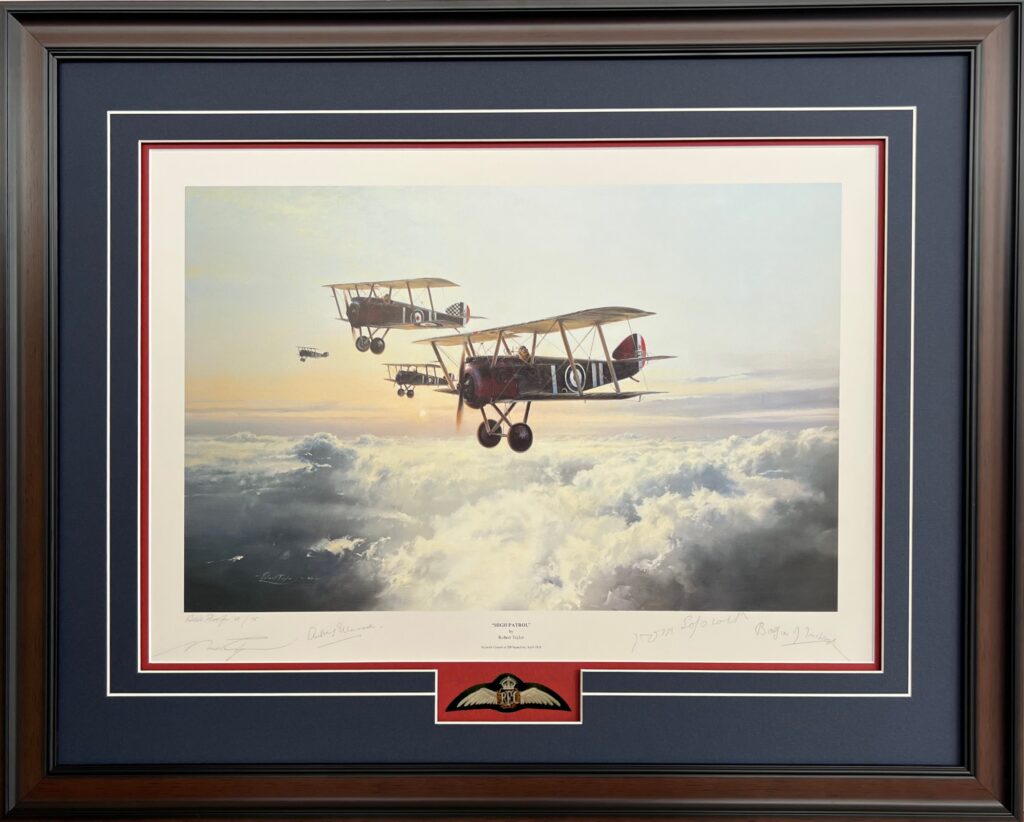 High Patrol - Framed Collector’s Piece | Aces High Gallery