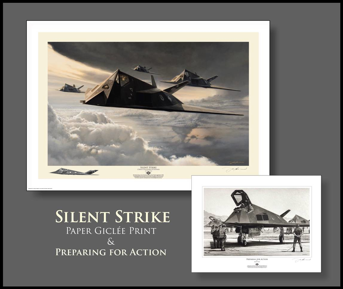 SILENT STRIKE | Aces High Gallery