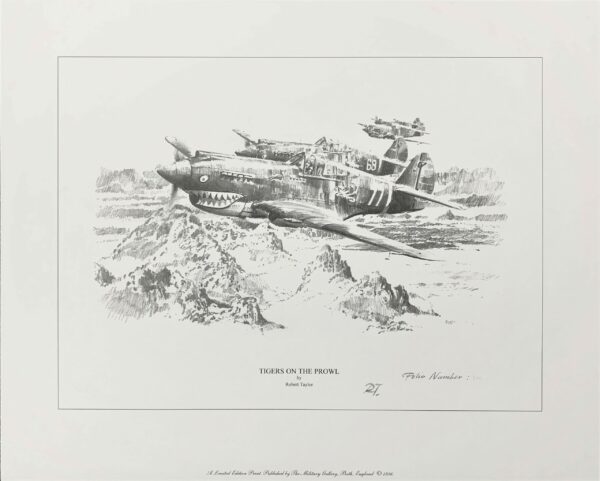 FIGHTING TIGERS | Aces High Gallery