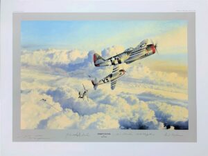ZEMKE’S WOLFPACK | Aces High Gallery