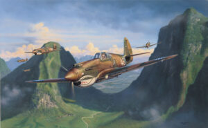 TIGER PASS | Aces High Gallery